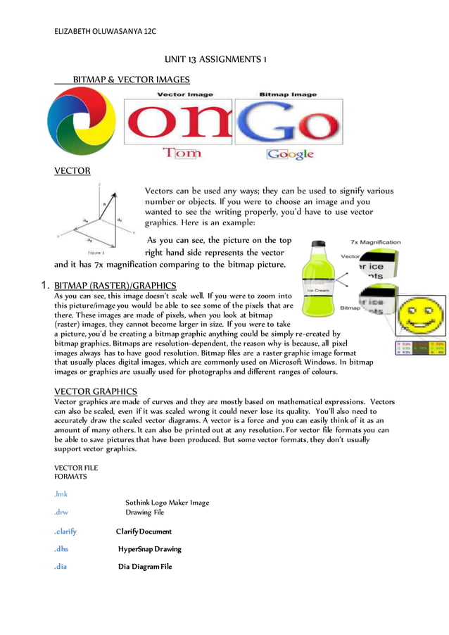Unit 13 assignment 1 vectors - elisabeth | DOCX