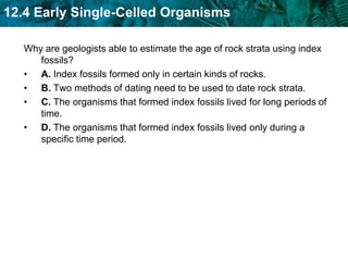 Unit 13b Origin of life | PPTX
