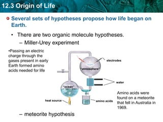 Unit 13b Origin of life | PPTX