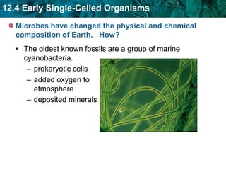 Unit 13b Origin of life | PPTX