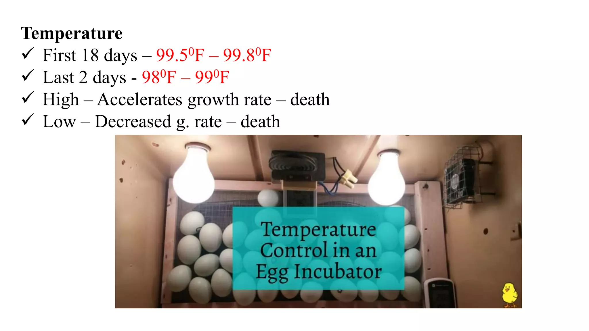 Unit 13 Incubation, hatching and brooding.pptx