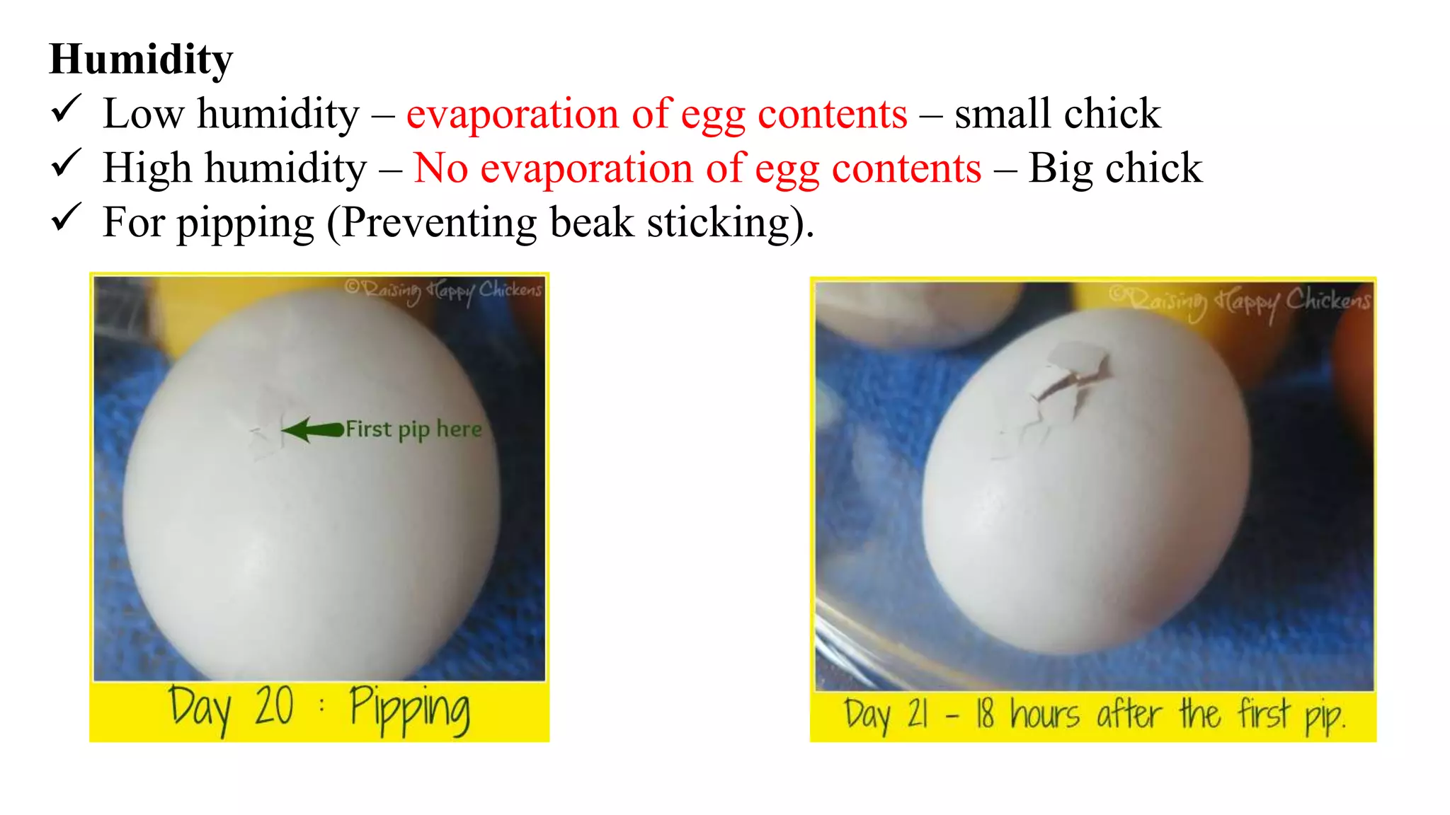 Unit 13 Incubation, hatching and brooding.pptx