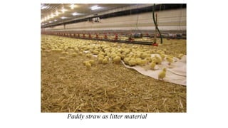 Unit 13 Incubation, hatching and brooding.pptx