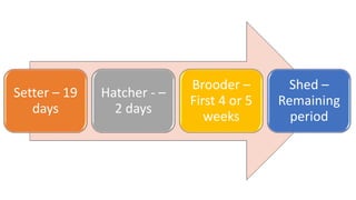 Unit 13 Incubation, hatching and brooding.pptx