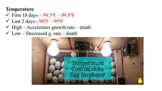 Unit 13 Incubation, hatching and brooding.pptx