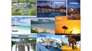 Unit 13 lesson 1 | PPT