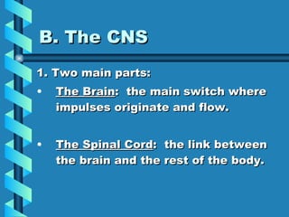 Unit 13 nervous system | PPT