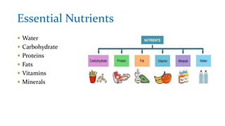 Unit 13 Nutrition unit 13 nutrition unit about nutrition | PDF
