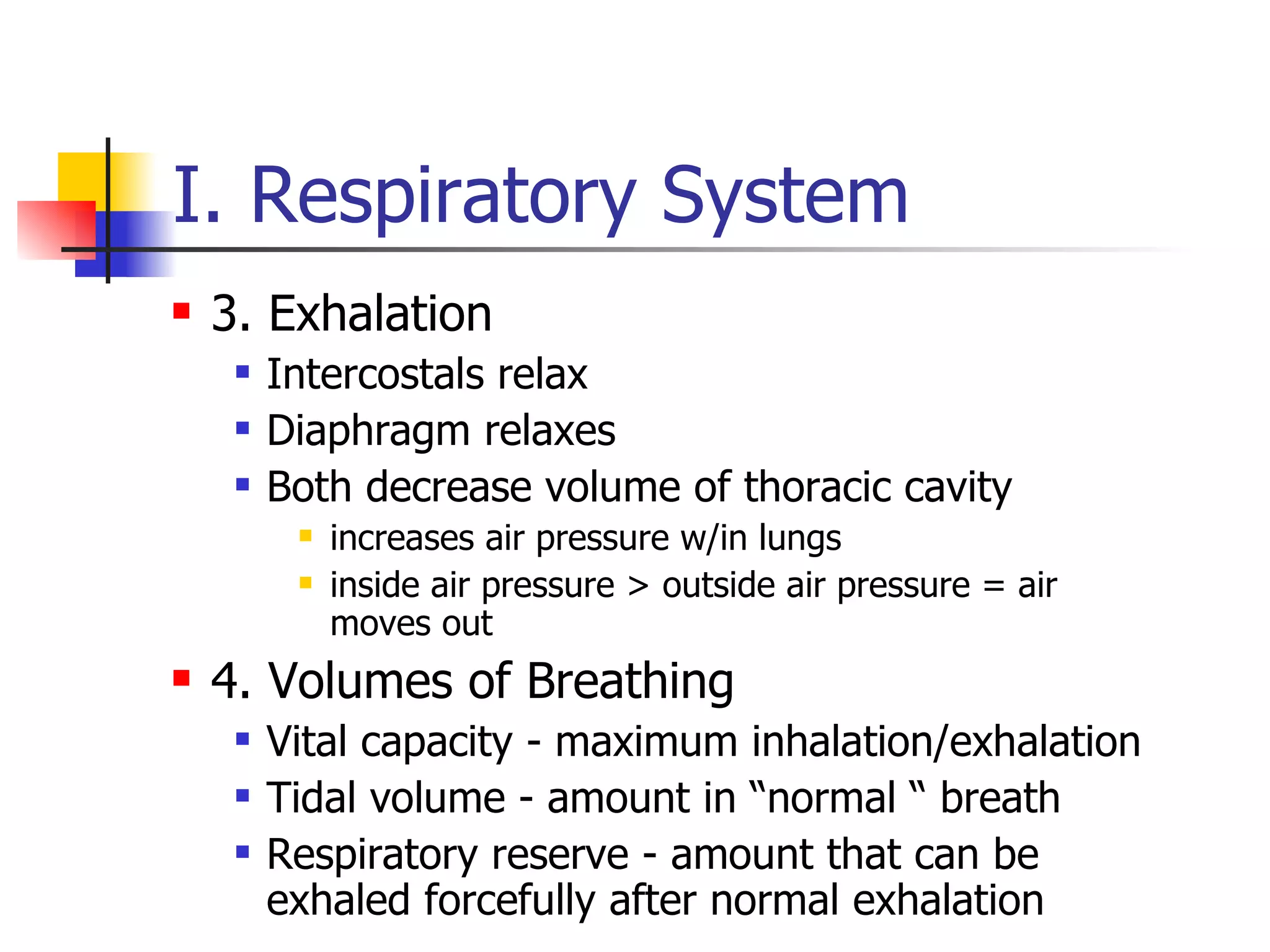 Unit 13 resipration | PPT