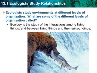 Unit 14a Relationships, biotic, and abiotic factors | PPTX