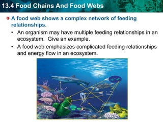 Unit 14b Food webs and cycling of matter | PPT