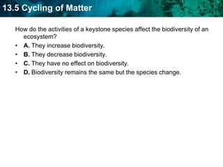 Unit 14b Food webs and cycling of matter | PPTX