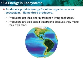 Unit 14b Food webs and cycling of matter | PPTX