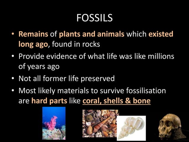Unit 14 fossils | PPT