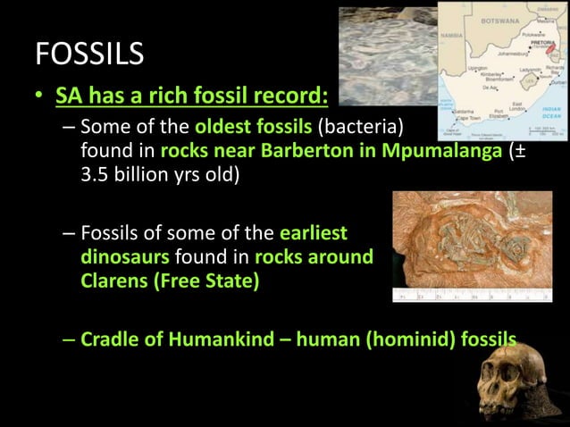 Unit 14 fossils | PPT