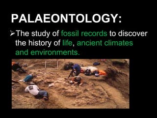 Unit 14 fossils | PPT | Free Download