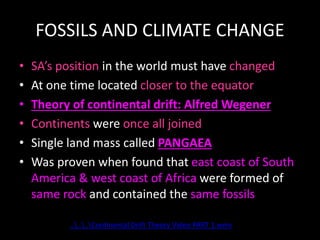 Unit 14 fossils | PPT