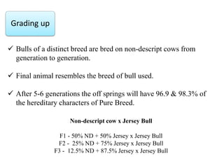 Unit 14 Improvement of livestock and Poultry.pptx