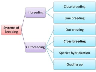 Unit 14 Improvement of livestock and Poultry.pptx