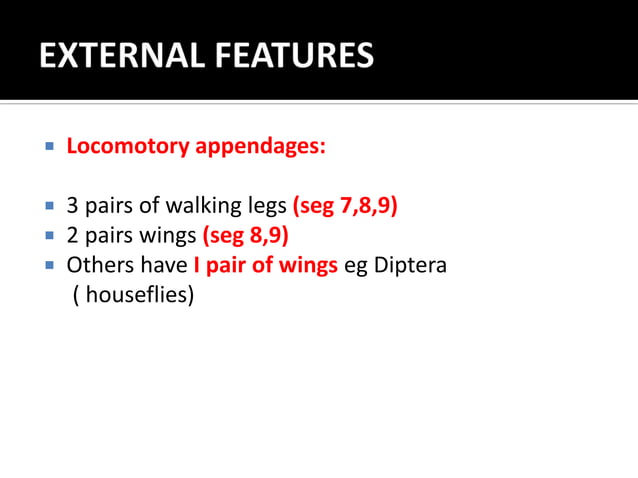 Unit 14 PowerPoint Lecture notes for study.pdf