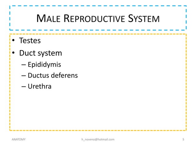 Unit 14 Reproductive System | PPT