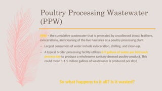 Unit 15 - Presentation (5).pptx University of Georgia | PPTX