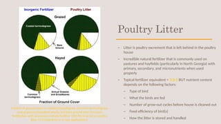 Unit 15 - Presentation (5).pptx University of Georgia | PPTX