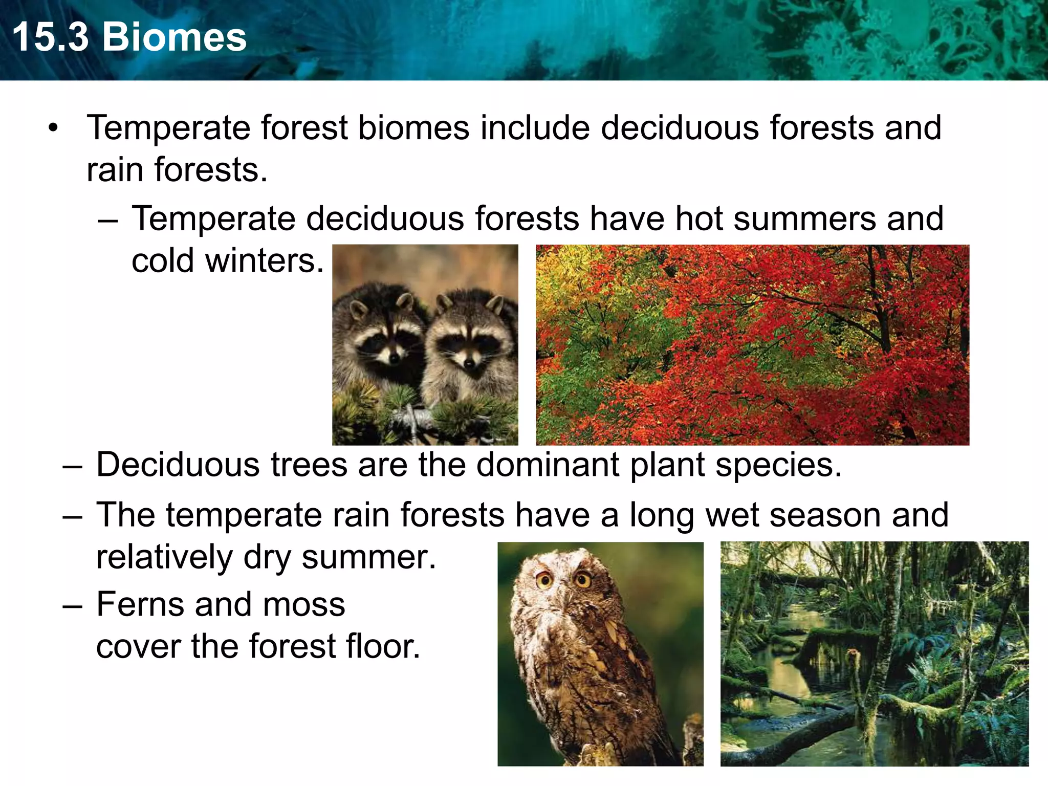 Unit 15b Biosphere climate and biomes | PPTX