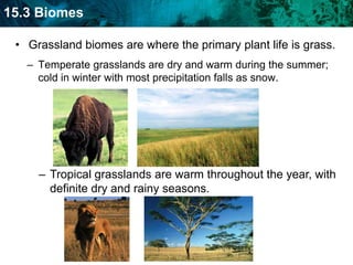 Unit 15b Biosphere climate and biomes | PPTX