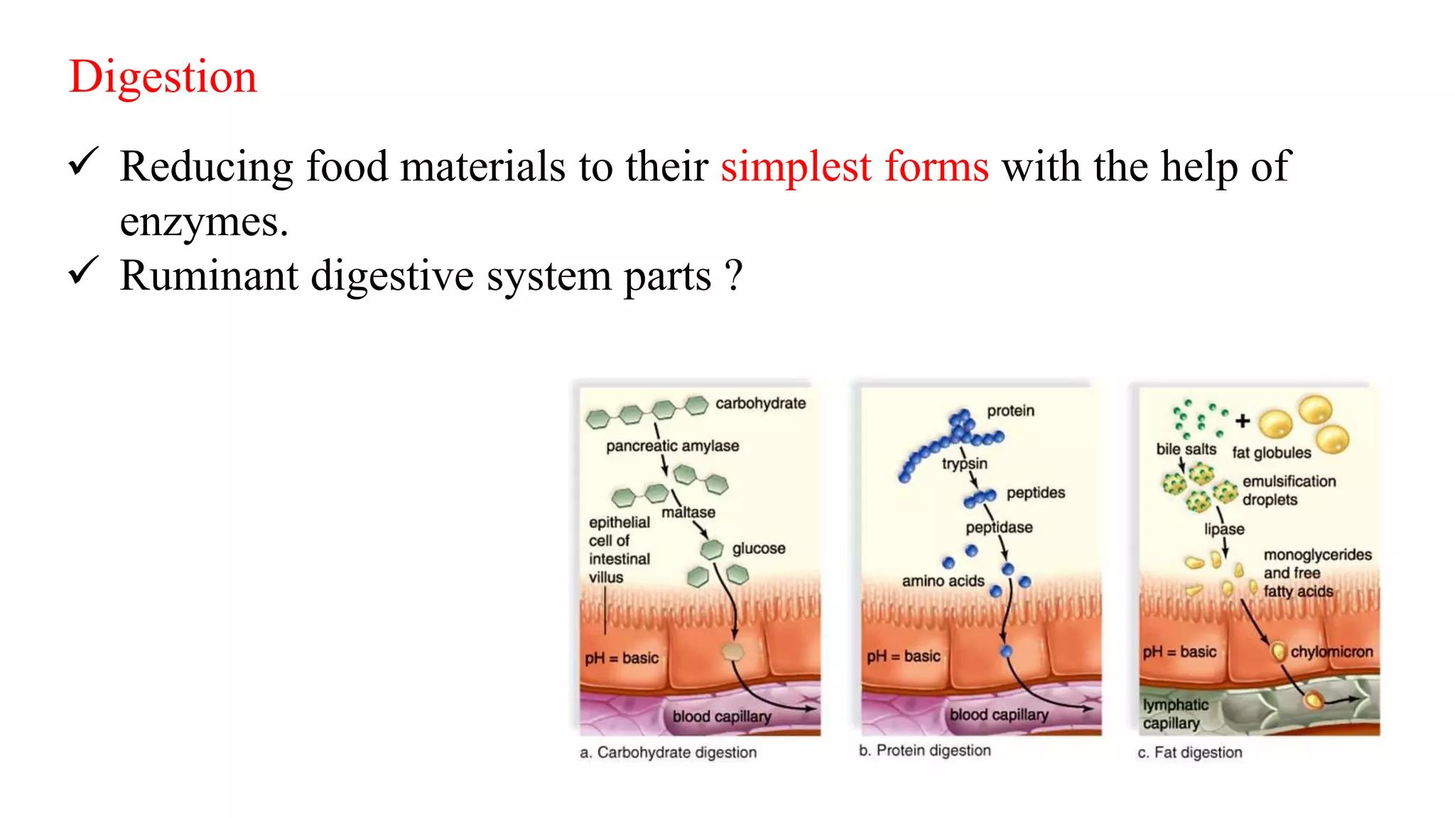 Unit 15 Digestion and metabolism of livestock and poultry.pptx
