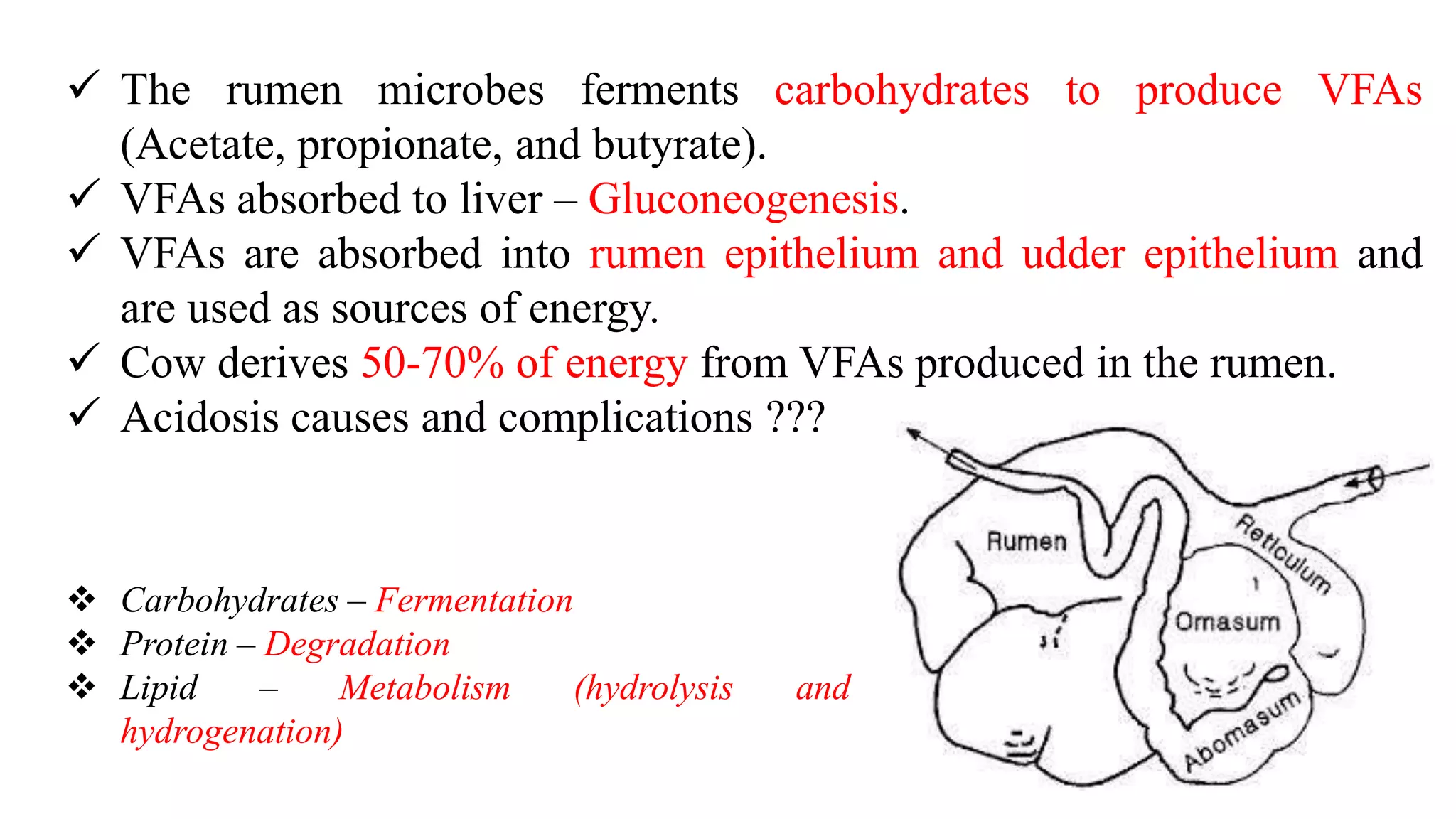 Unit 15 Digestion and metabolism of livestock and poultry.pptx