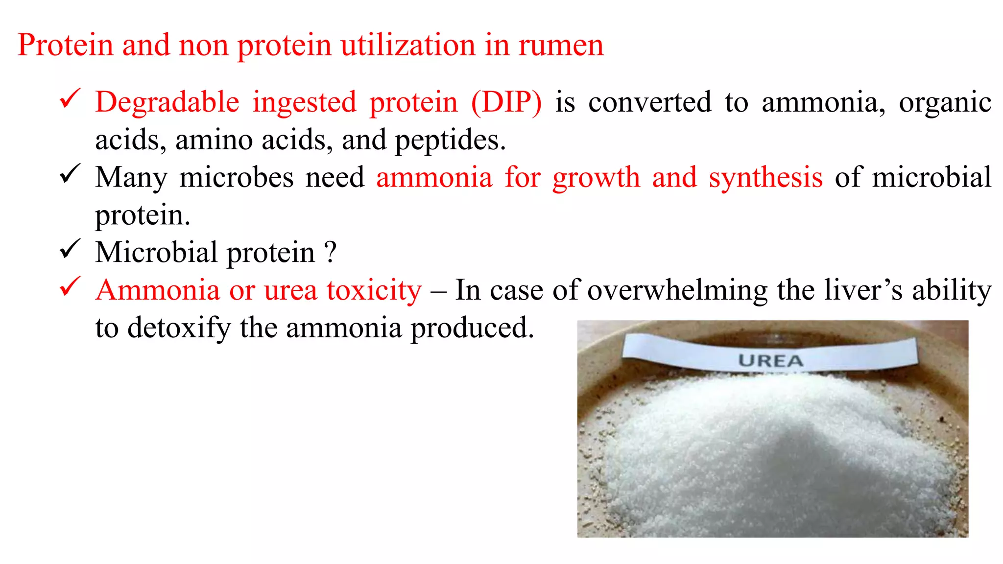Unit 15 Digestion and metabolism of livestock and poultry.pptx