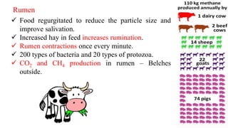Unit 15 Digestion and metabolism of livestock and poultry.pptx