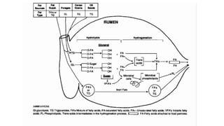 Unit 15 Digestion and metabolism of livestock and poultry.pptx