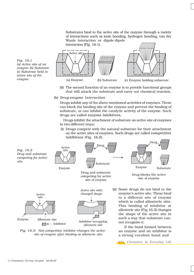 Ncert Class 12 Chemistry Chapter 16 | PDF