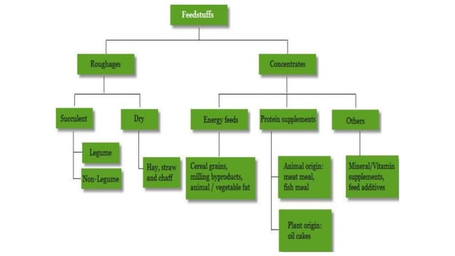 Unit 16 Classification of feed stuff.pptx