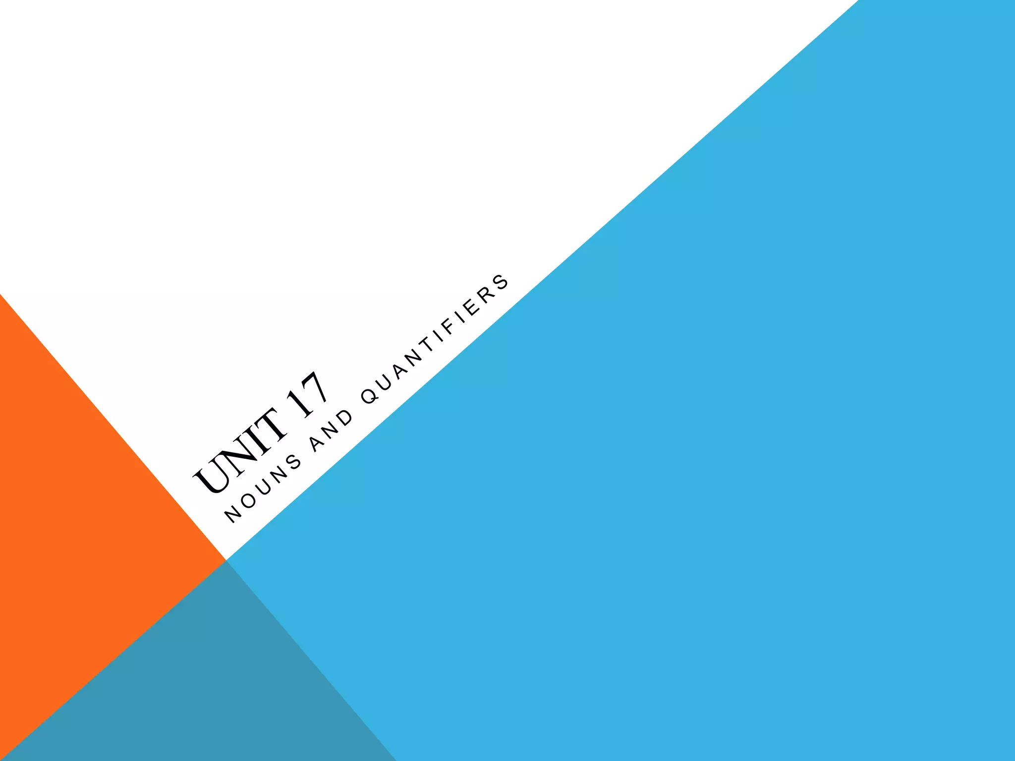 Unit 17 Nouns and Quantifiers | PPTX