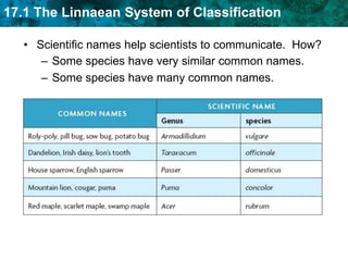 Unit 17a Scientific classification | PPTX
