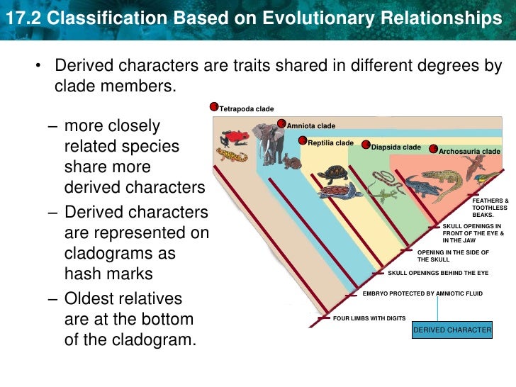 Unit 17a Scientific classification