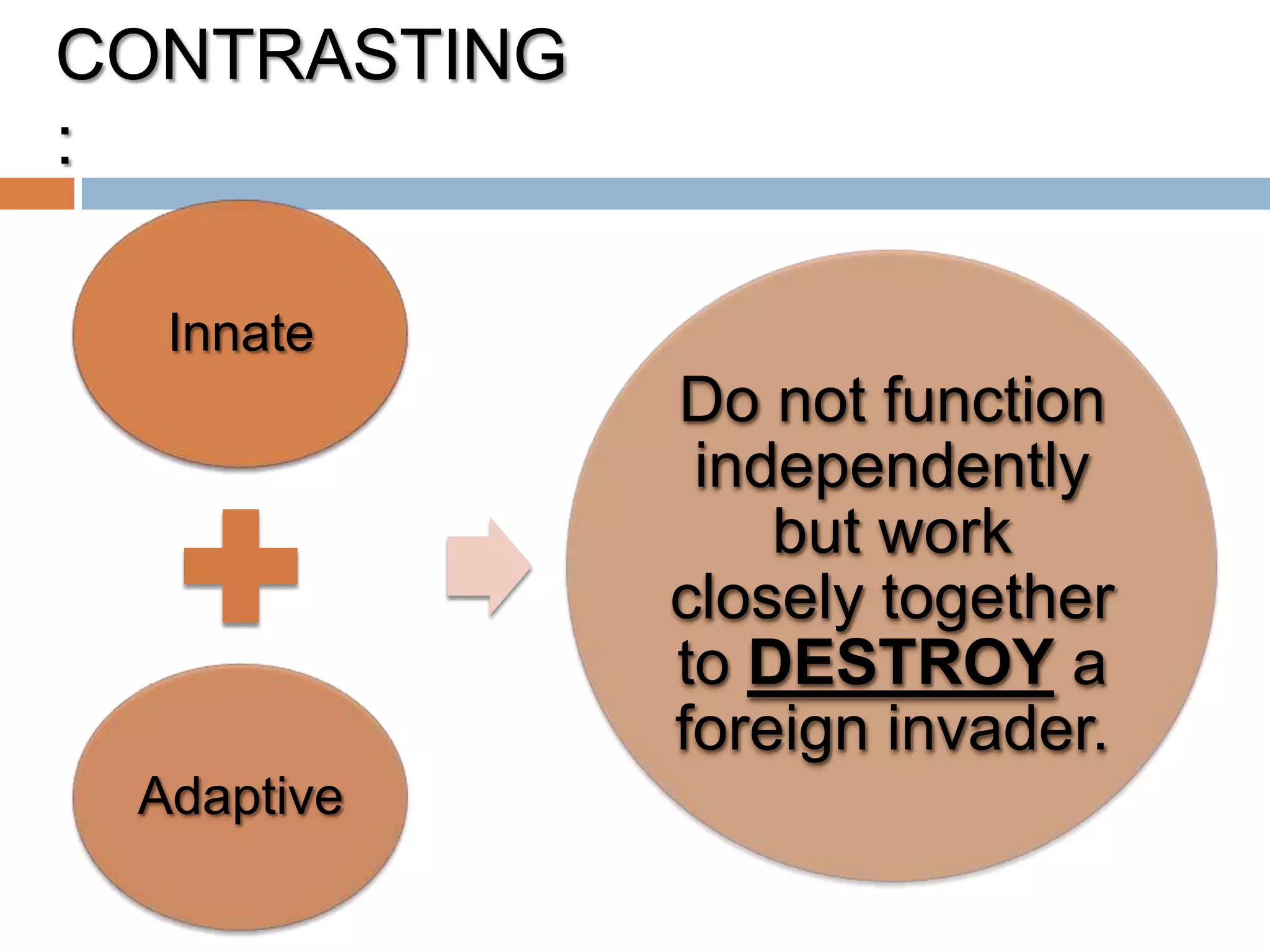 immune response | PPTX