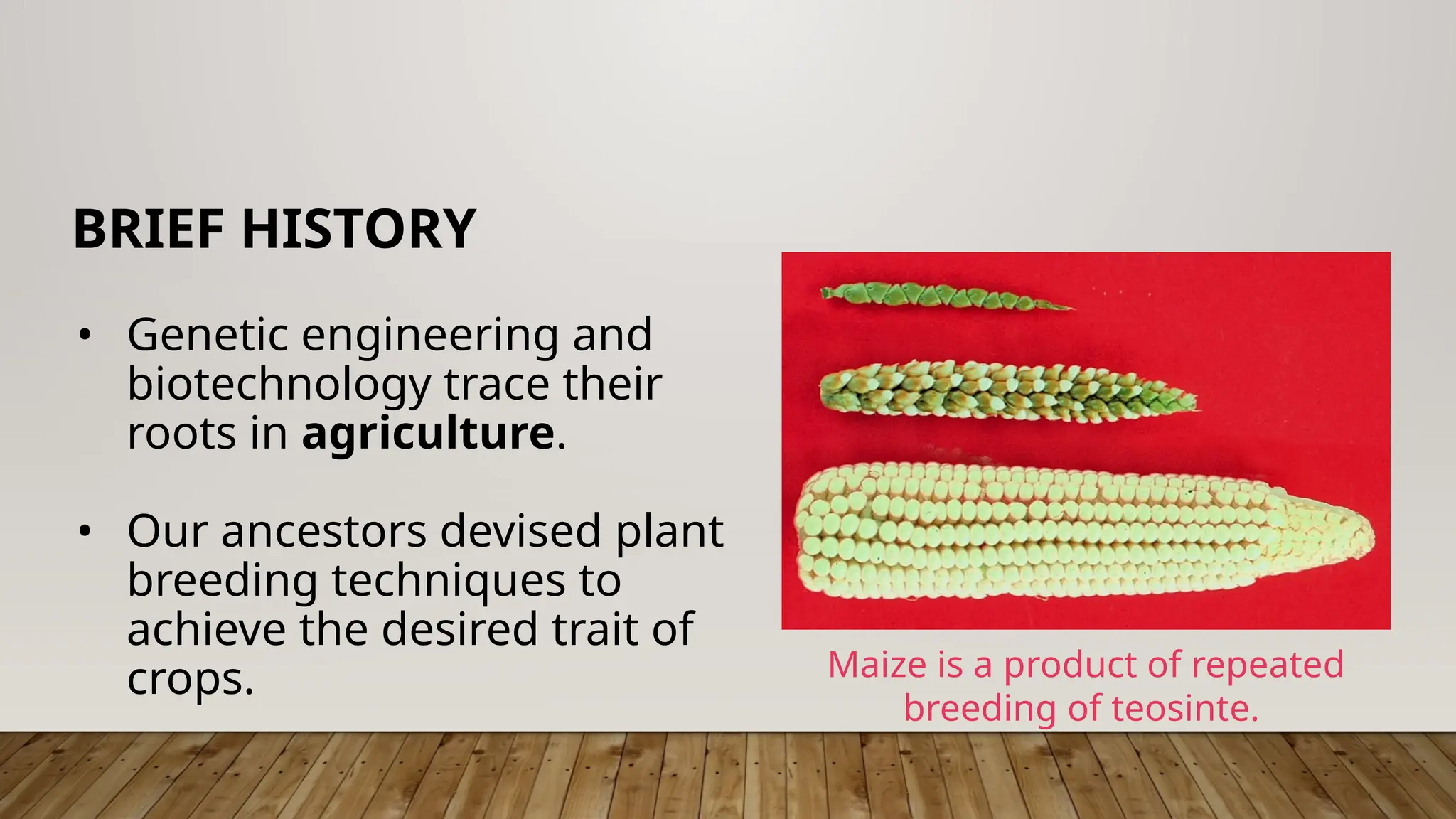 Unit 18 Genes and Genetic Engineering 2.pptx
