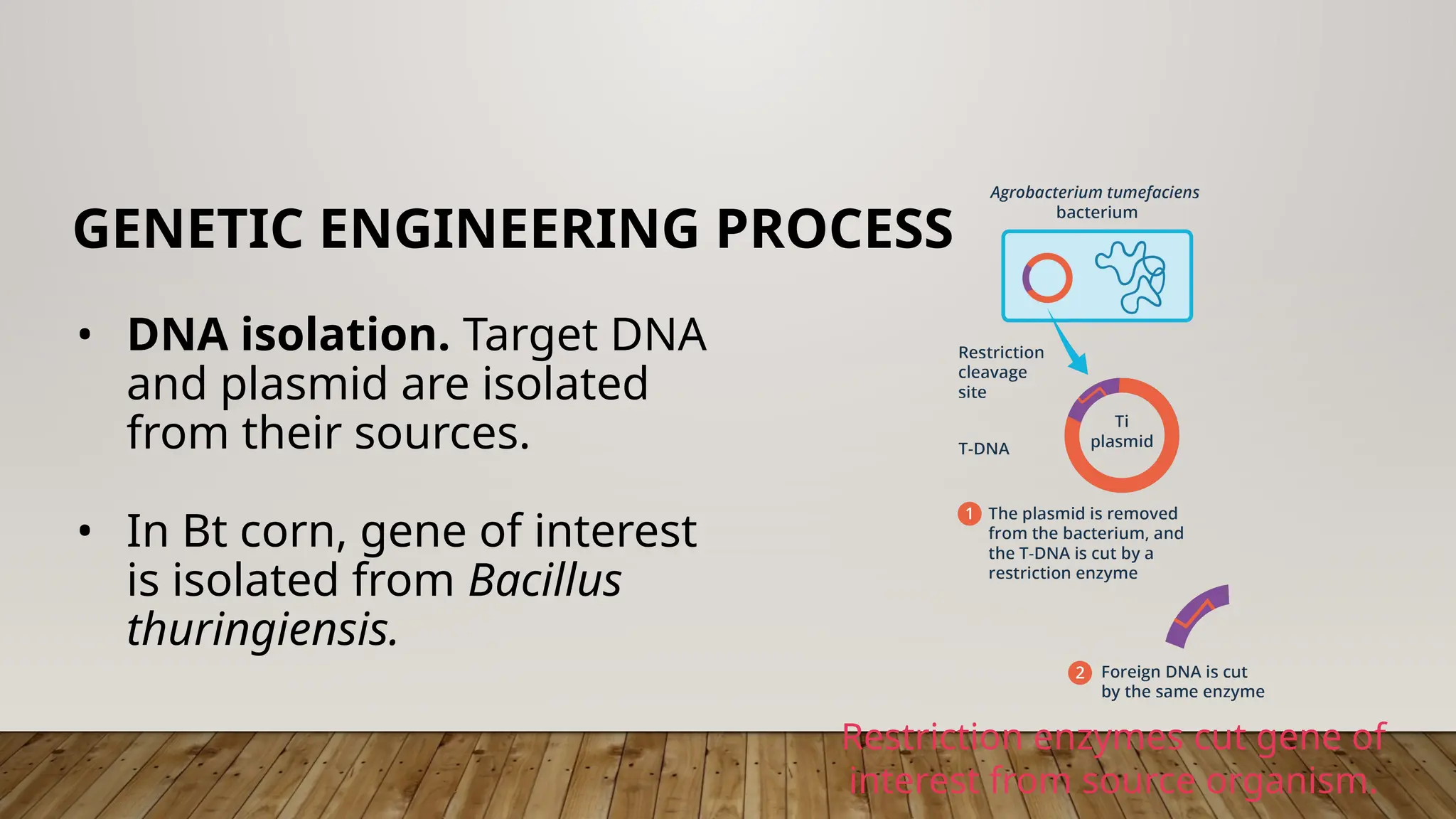 Unit 18 Genes and Genetic Engineering 2.pptx