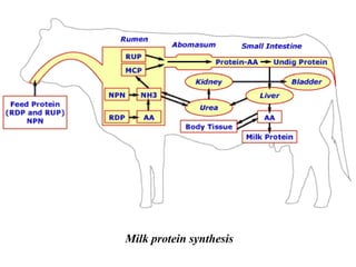 Unit 18 Nutrients and their functions.pptx