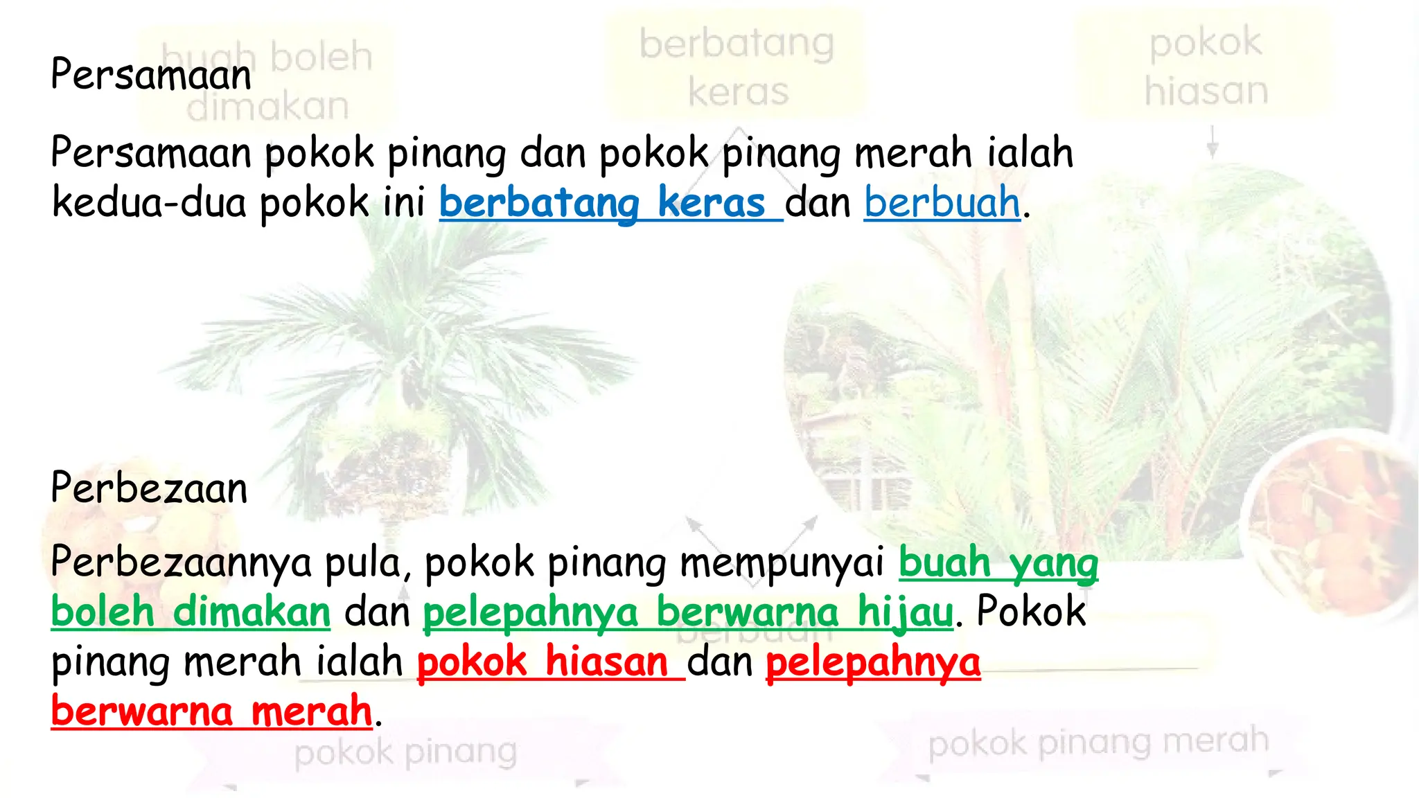 Bahasa Melayu Unit 19. Pokok Pinang.pptx
