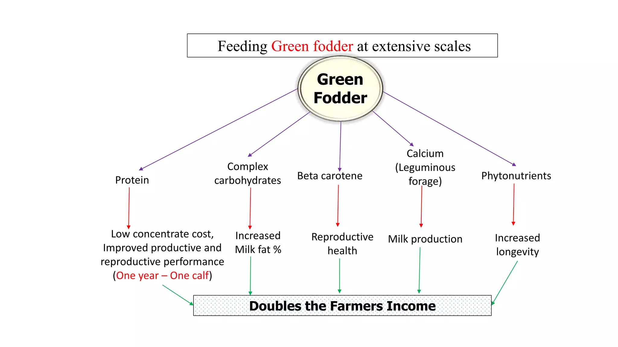 Unit 19 Feed ingredients for ration - Balanced ration.pptx