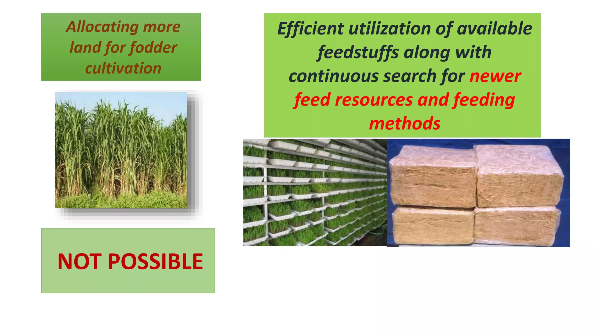 Unit 19 Feed ingredients for ration - Balanced ration.pptx