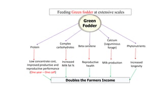 Unit 19 Feed ingredients for ration - Balanced ration.pptx