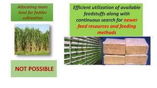 Unit 19 Feed ingredients for ration - Balanced ration.pptx