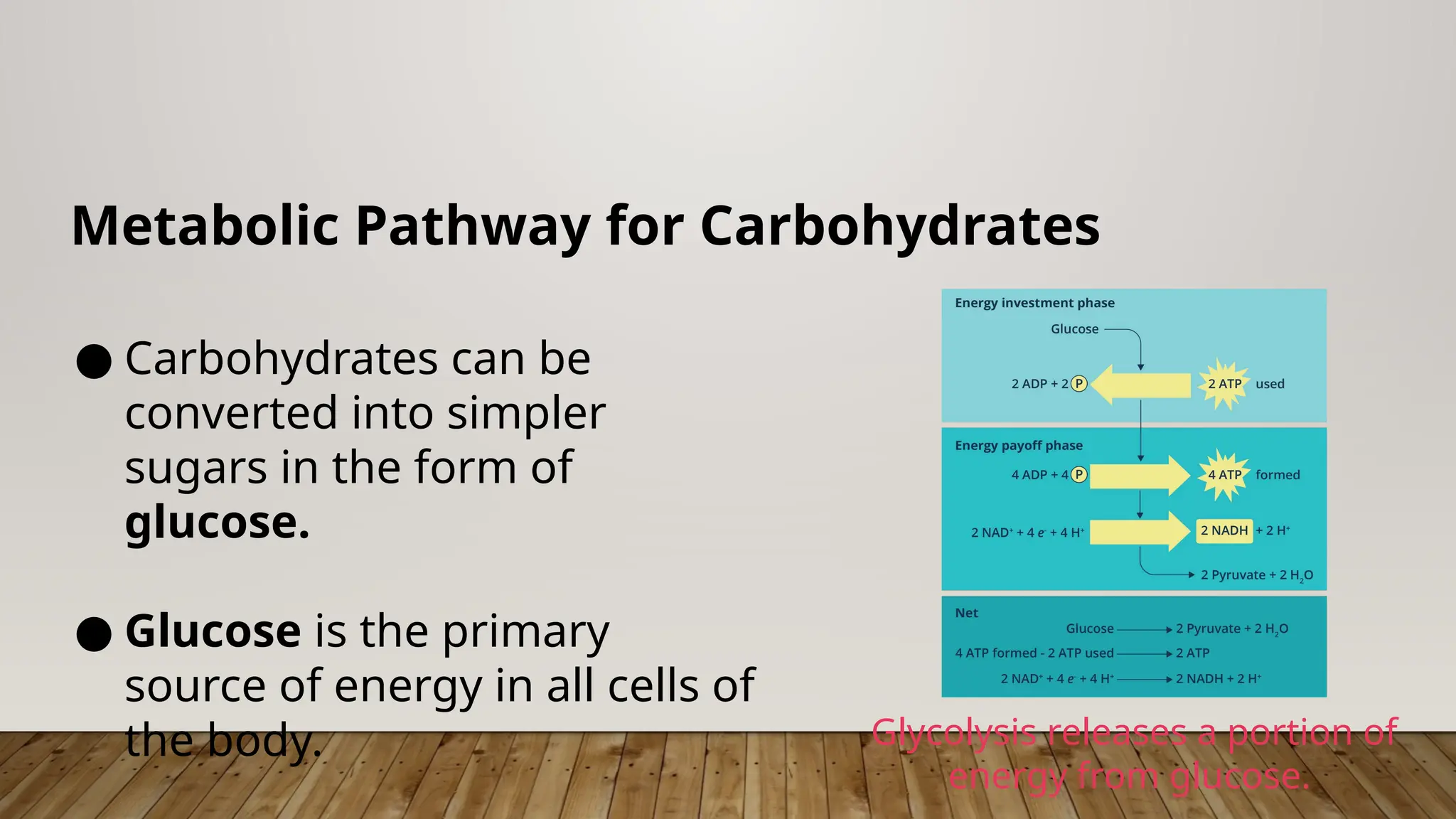 Unit 19 Nutrition Getting Food to Cells 4.pptx