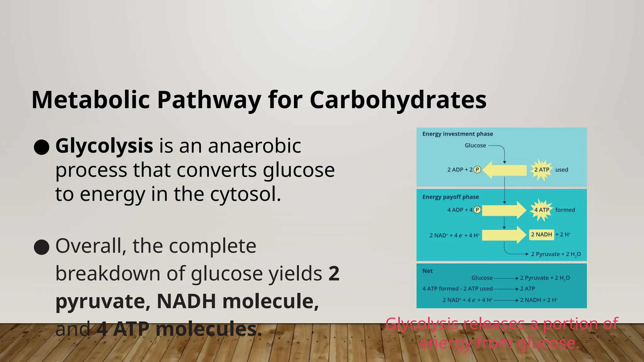 Unit 19 Nutrition Getting Food to Cells 4.pptx